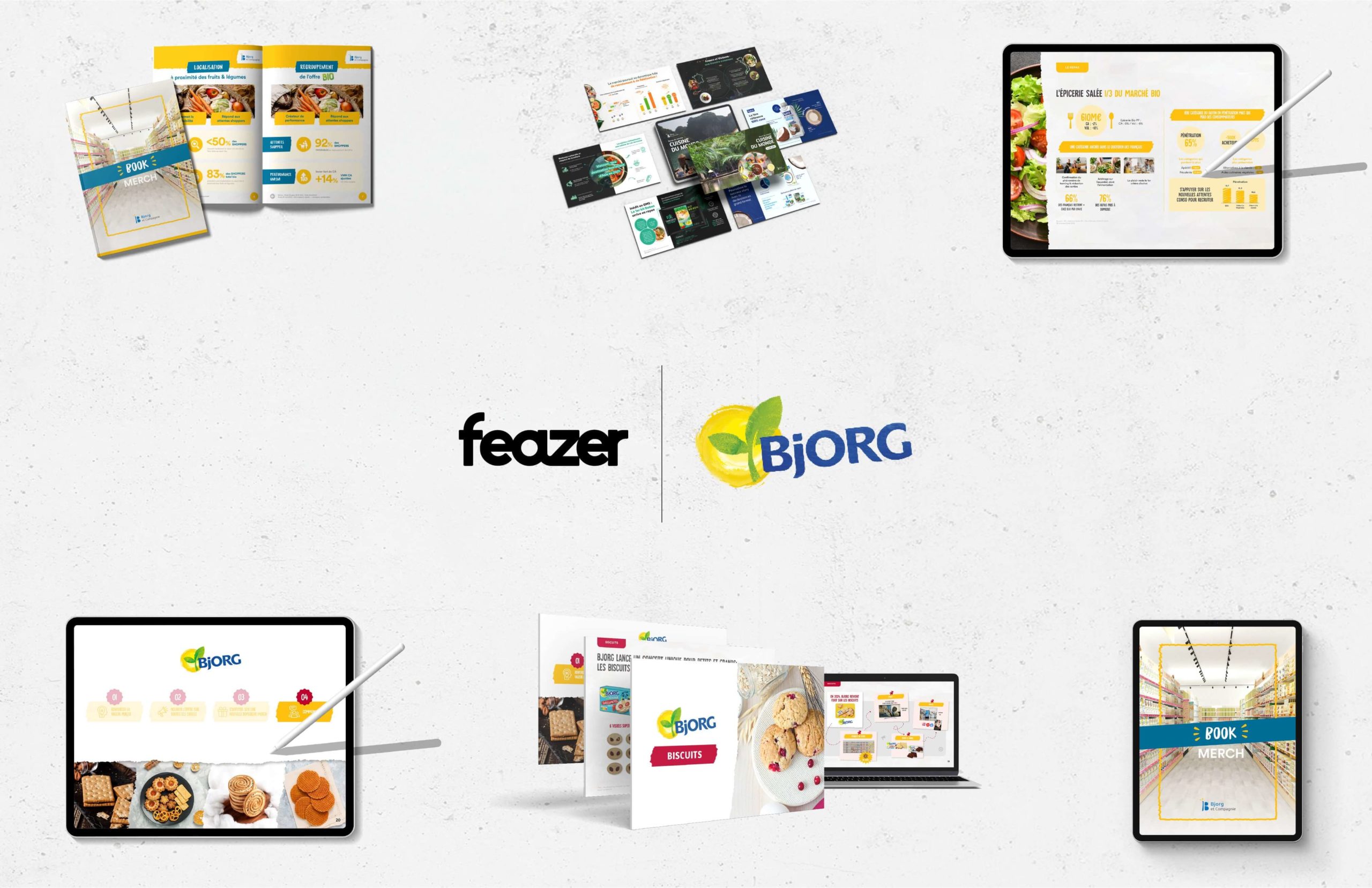 Feazer - Bjorg use case